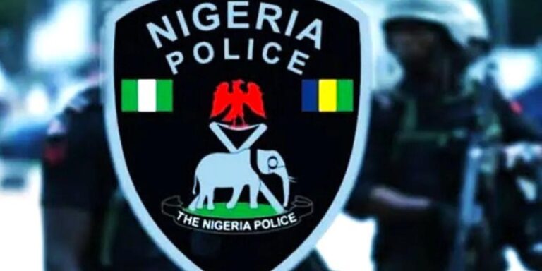 Why State Police Is Not the Answer To Nigeria’s Security Challenges -By ...